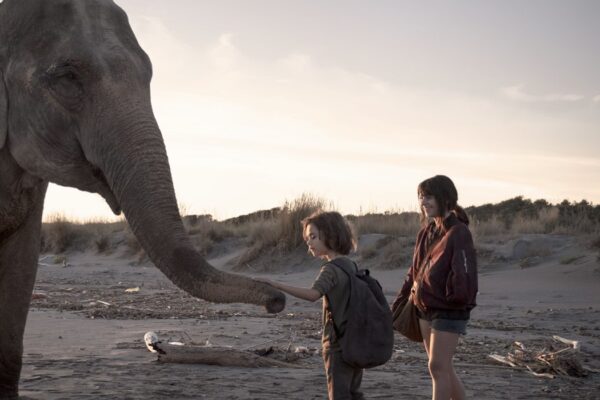 Anna, la serie TV: la trama, il cast e la data d'uscita