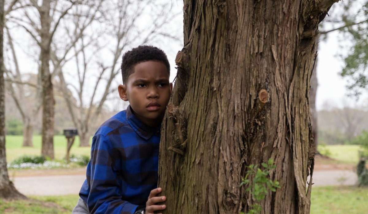 Dion: trama, cast, data di uscita e streaming.