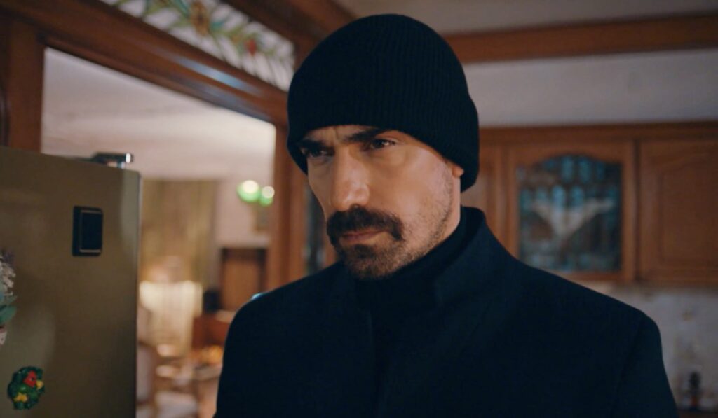 My Home My Destiny 2, Mehdi rapisce Zeynep