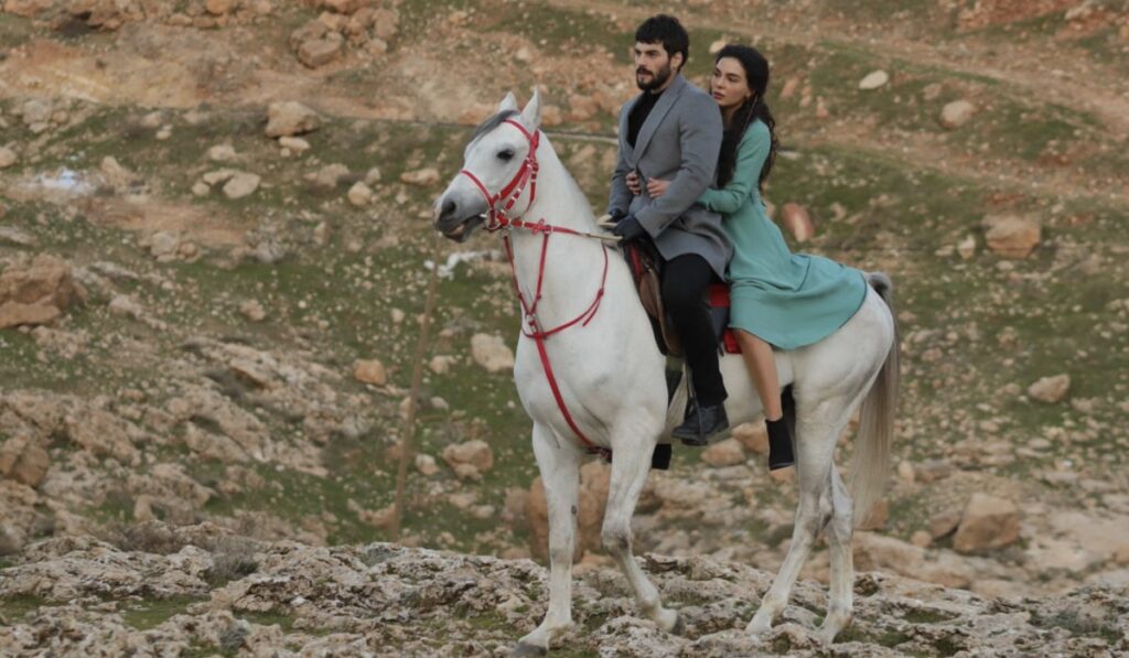 Hercai, la trama completa e il finale